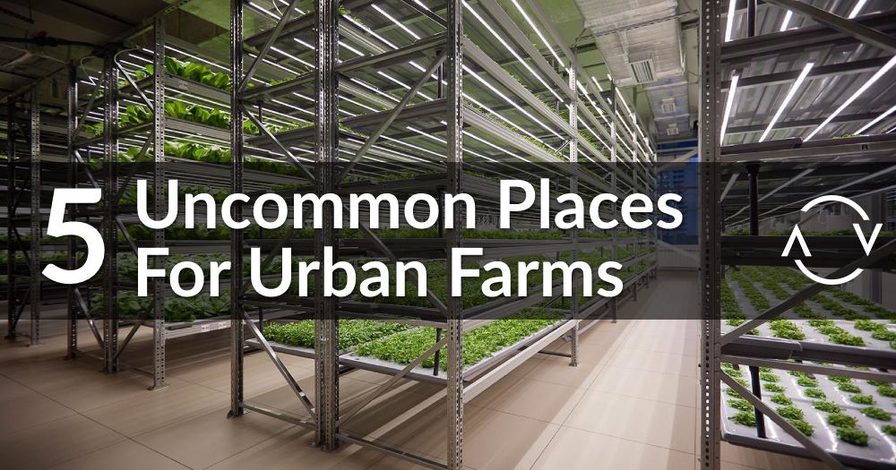 5 Uncommon Places For Urban Farms - Sustainable Avenue
